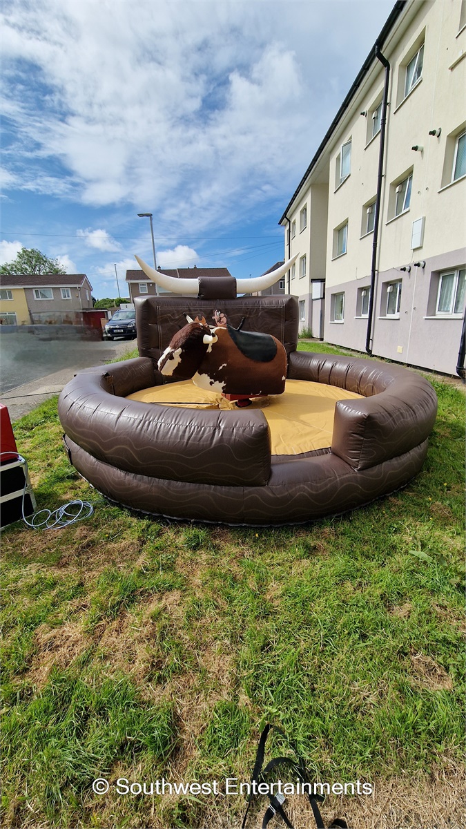 Rodeo Bull Hire Devon and surrounding areas